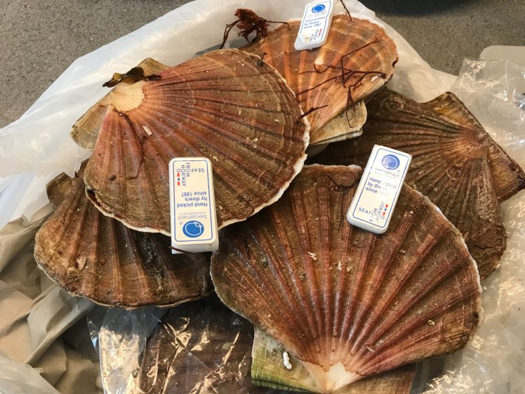 Scallops with Roe – Cook and Drink