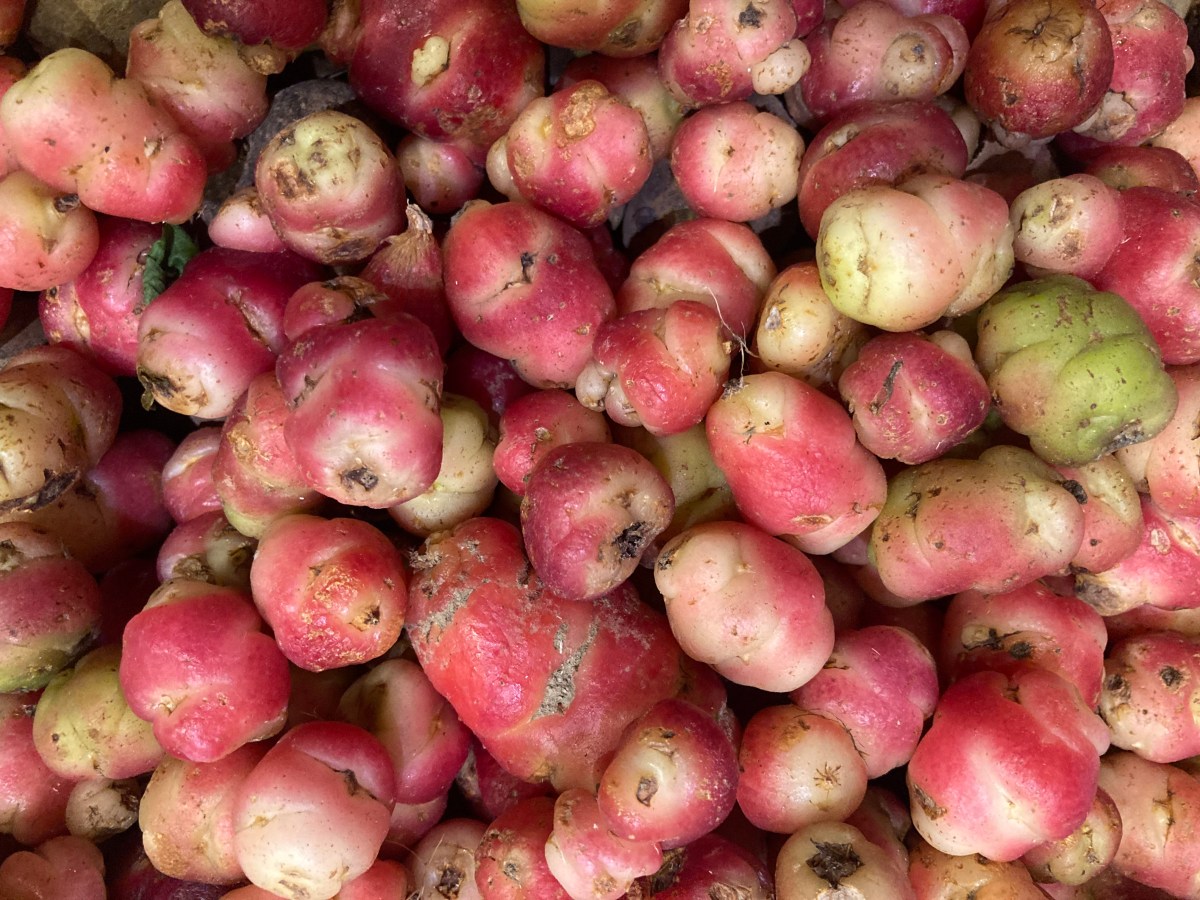 Forgotten Vegetables – Cook and Drink